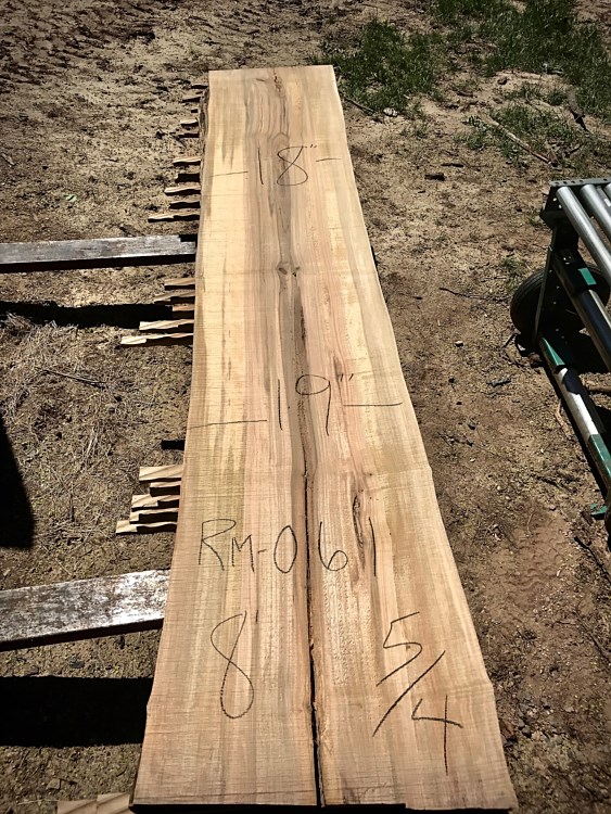 What Is Red Maple Wood Used For at Patricia Barker blog